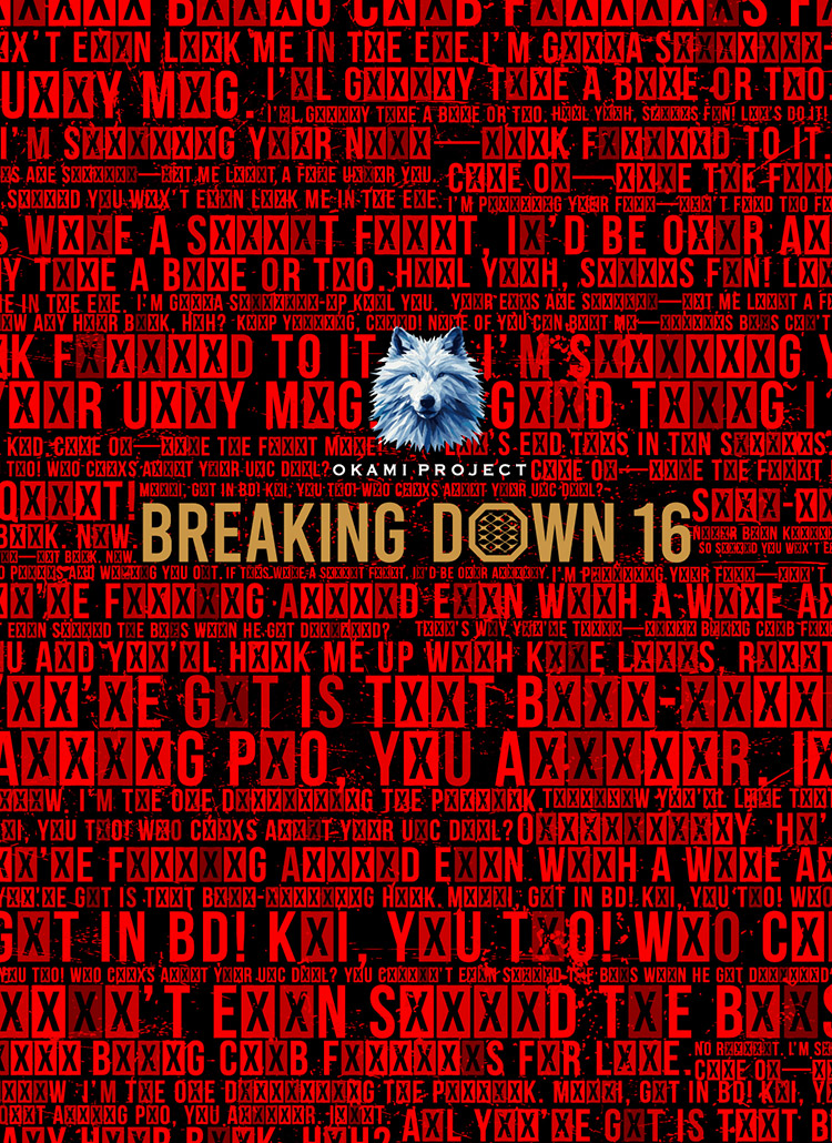 BreakingDown / ブレイキングダウン