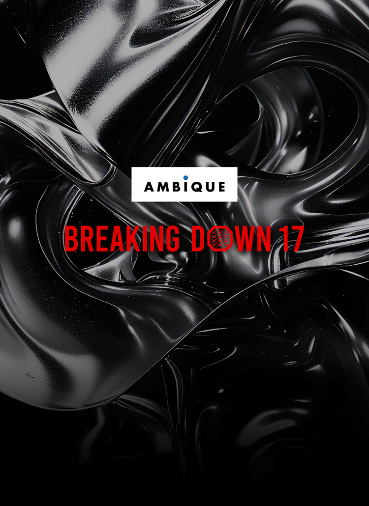 BreakingDown / ブレイキングダウン